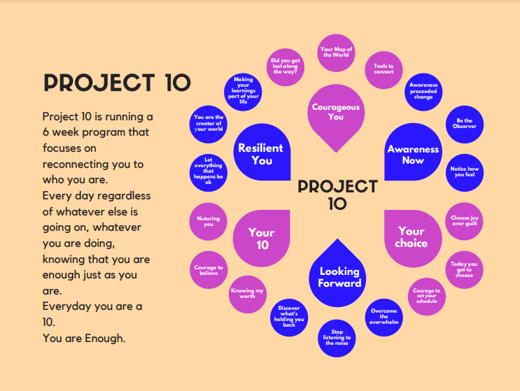 6 X1 Hour sessions via zoom – Project 10